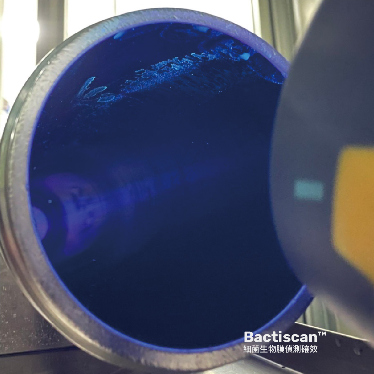 EIT – Abundant 爾榜燈