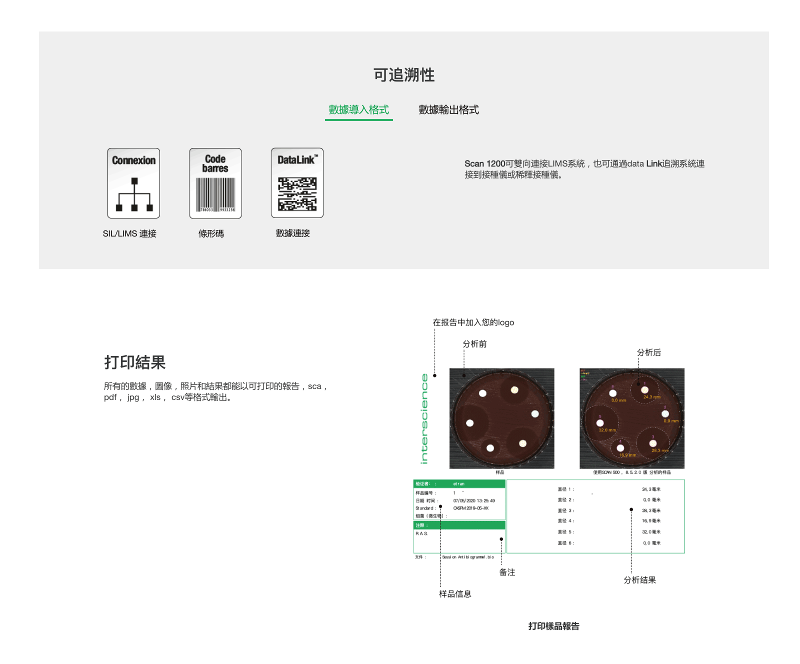 Scan 1200 - Abundant 爾榜燈