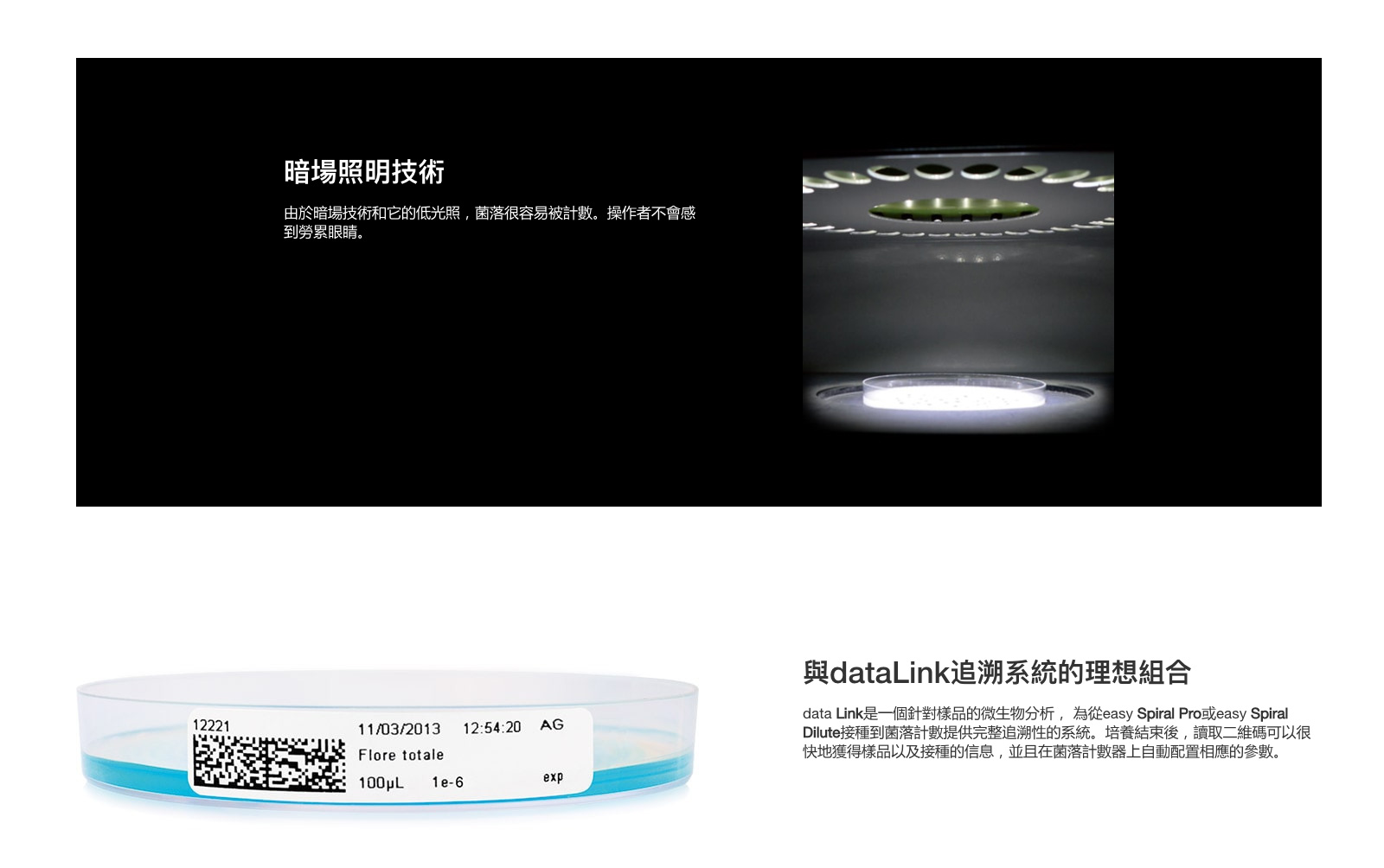 Scan 1200 - Abundant 爾榜燈