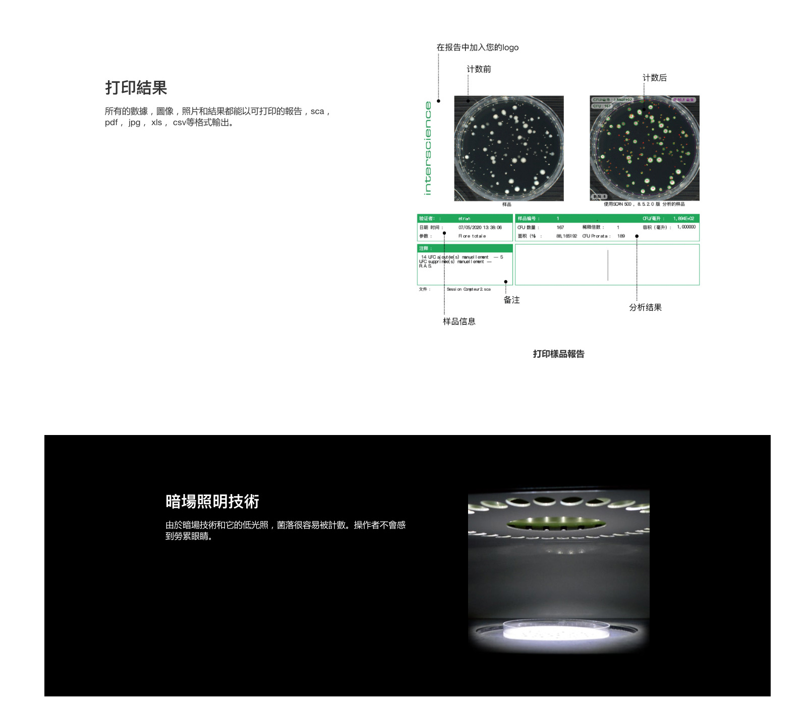 Scan 300 - Abundant 爾榜燈