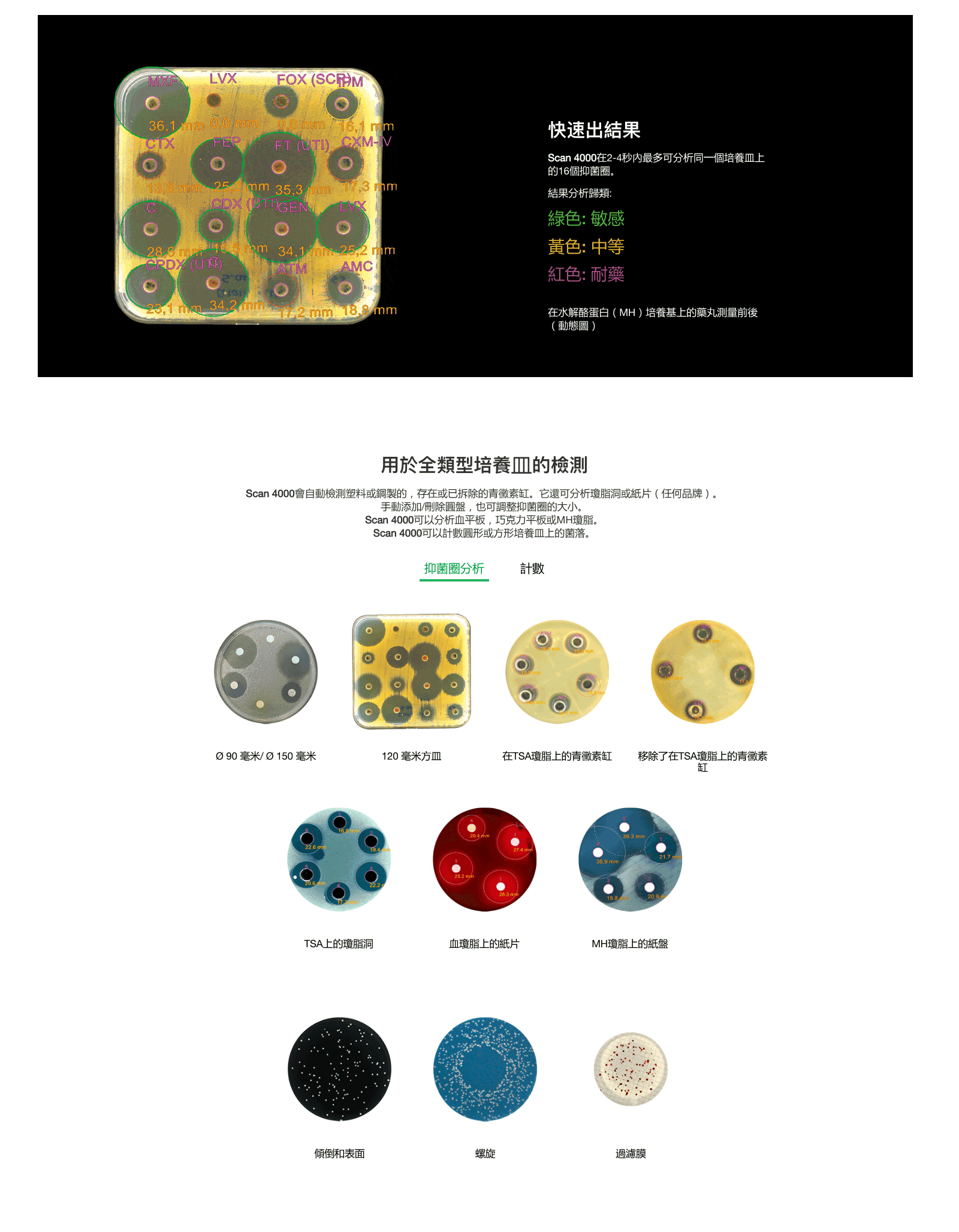 Scan 4000 - Abundant 爾榜燈